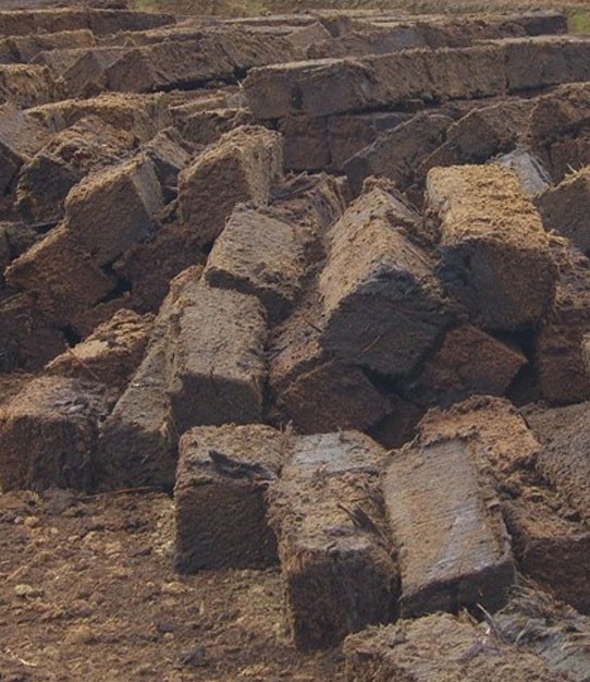 GHS Tunisie | Tourbe PEAT MOSS Fine